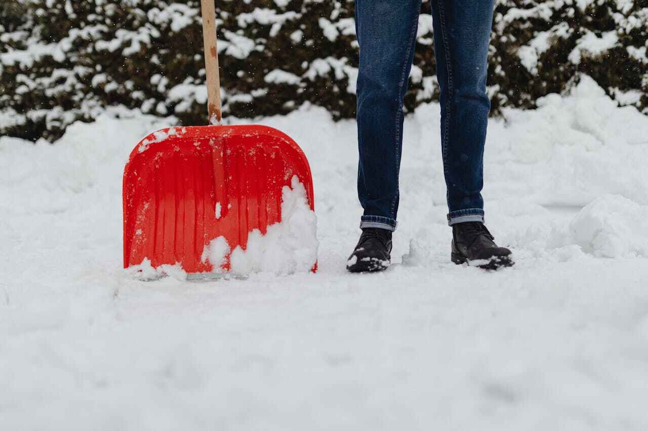 Snow Removal in Lino Lakes, MN | Protect Your Property from Fines| Call ...